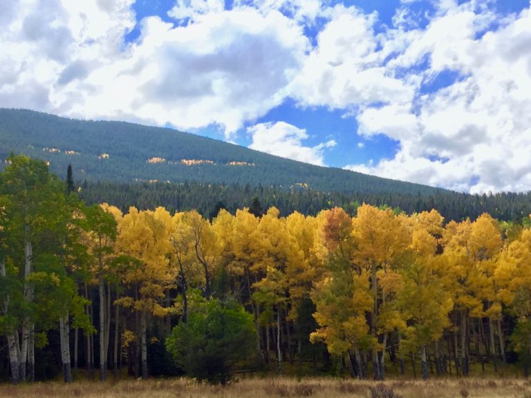Falling Apart & Climbing Mountains: The Strength & Frailty of the Human ...